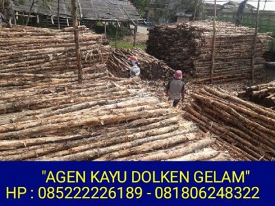 Tempat Jual Kayu Dolken untuk Cerucuk, Turap dan Pancang – Karinov.co.id